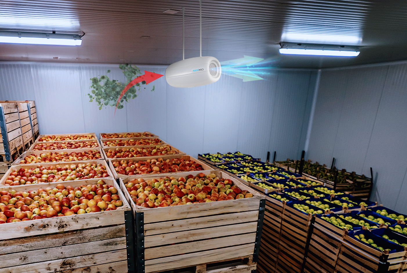 A modern solution for fighting mold and ethyleneA modern solution for ...